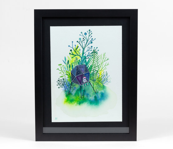 Aaron Piland - Plantasia at buyolympia.com