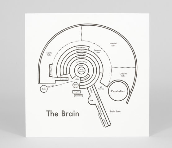 Archie's Press - The Brain at buyolympia.com