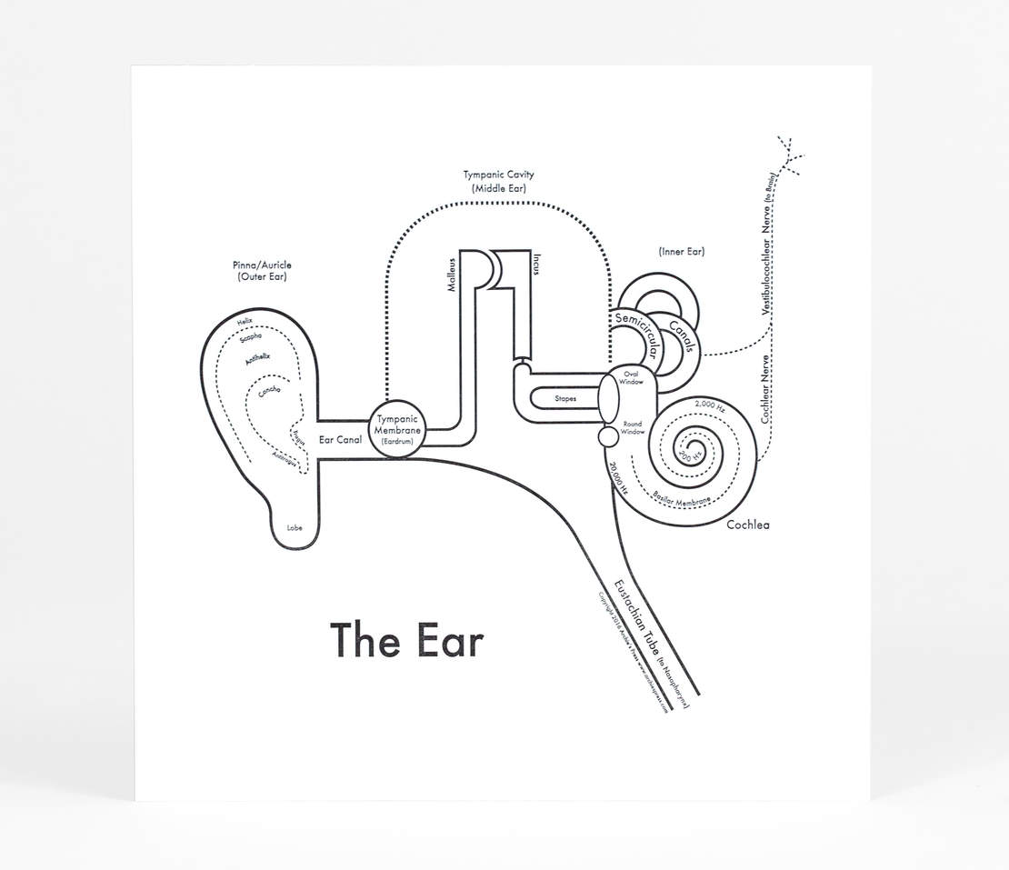 Archie's Press - The Ear at buyolympia.com