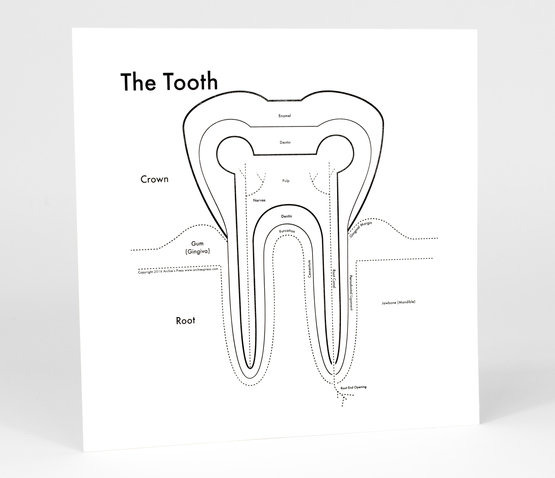 Archie's Press - The Tooth at buyolympia.com