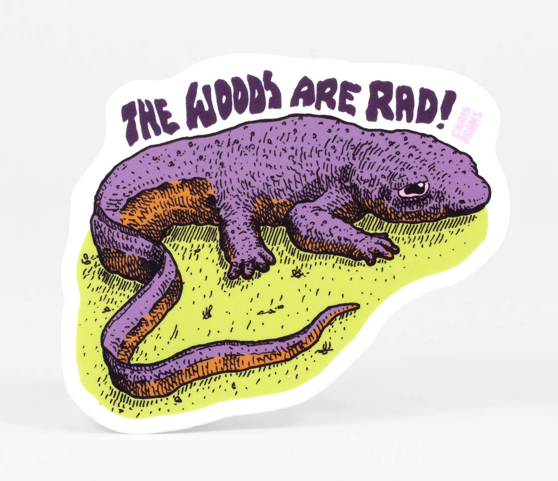 Chris Adams - The Woods Are Rad - Newt at buyolympia.com