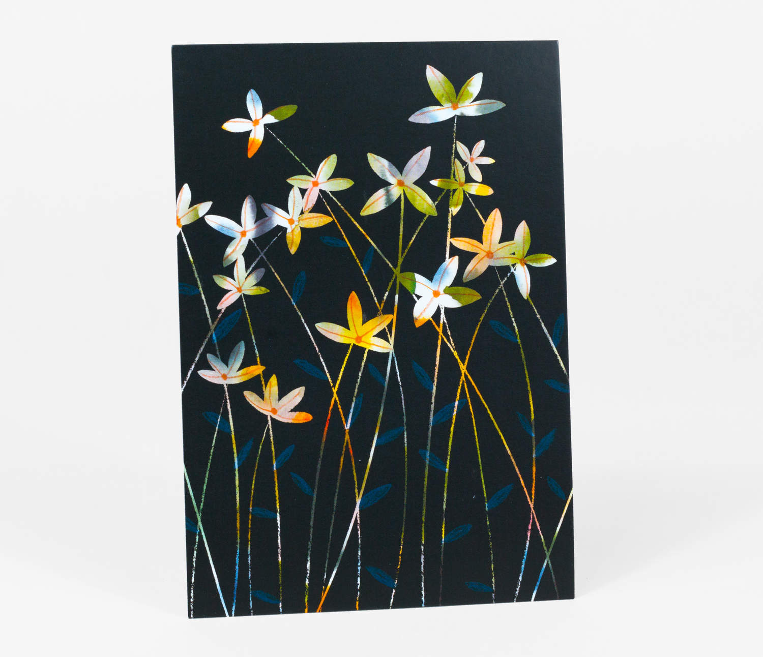 Princeton Architectural Press - Flower Box at buyolympia.com