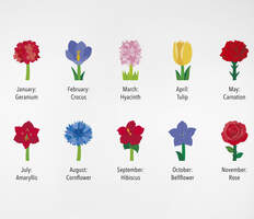 Good Morning, Inc. - Flower - Paper Craft Calendar at buyolympia.com