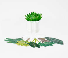 Good Morning, Inc. - Green Plants - Paper Craft Calendar at buyolympia.com