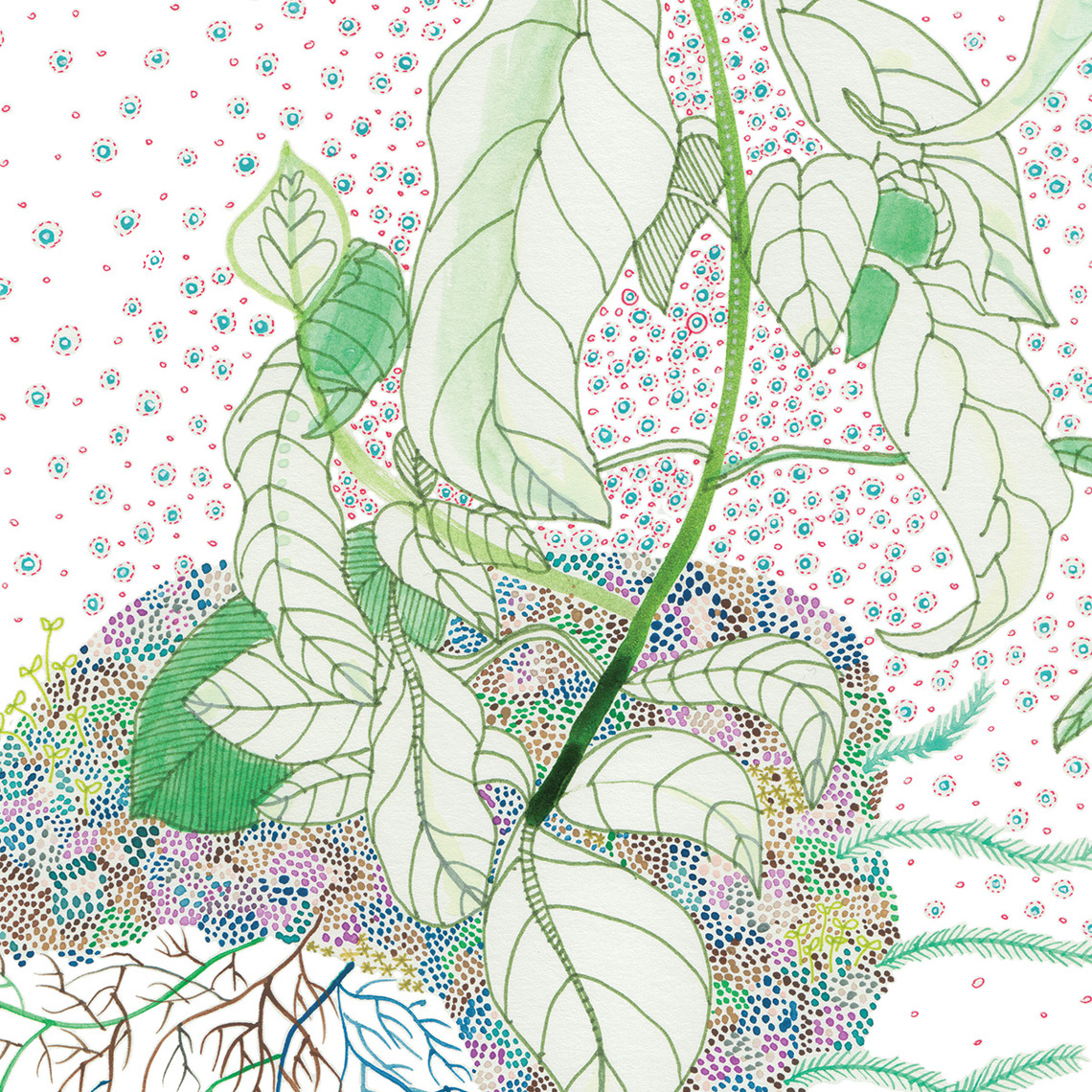 Jill Bliss - Garden Basil at buyolympia.com