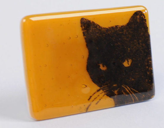 Kiku - Cat at buyolympia.com