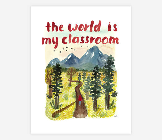 Latest Products at buyolympia.com