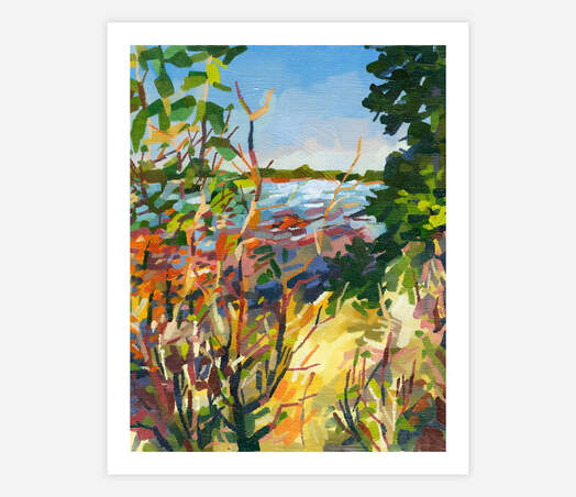 Flora Noble - Variegated Monstera at buyolympia.com