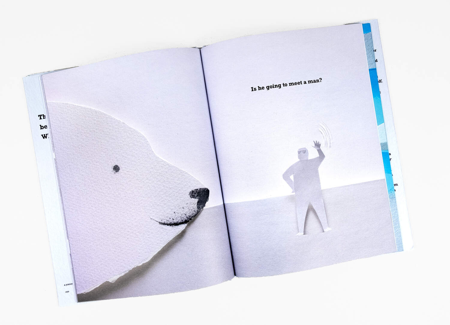Mac Barnett - A Polar Bear in the Snow at buyolympia.com