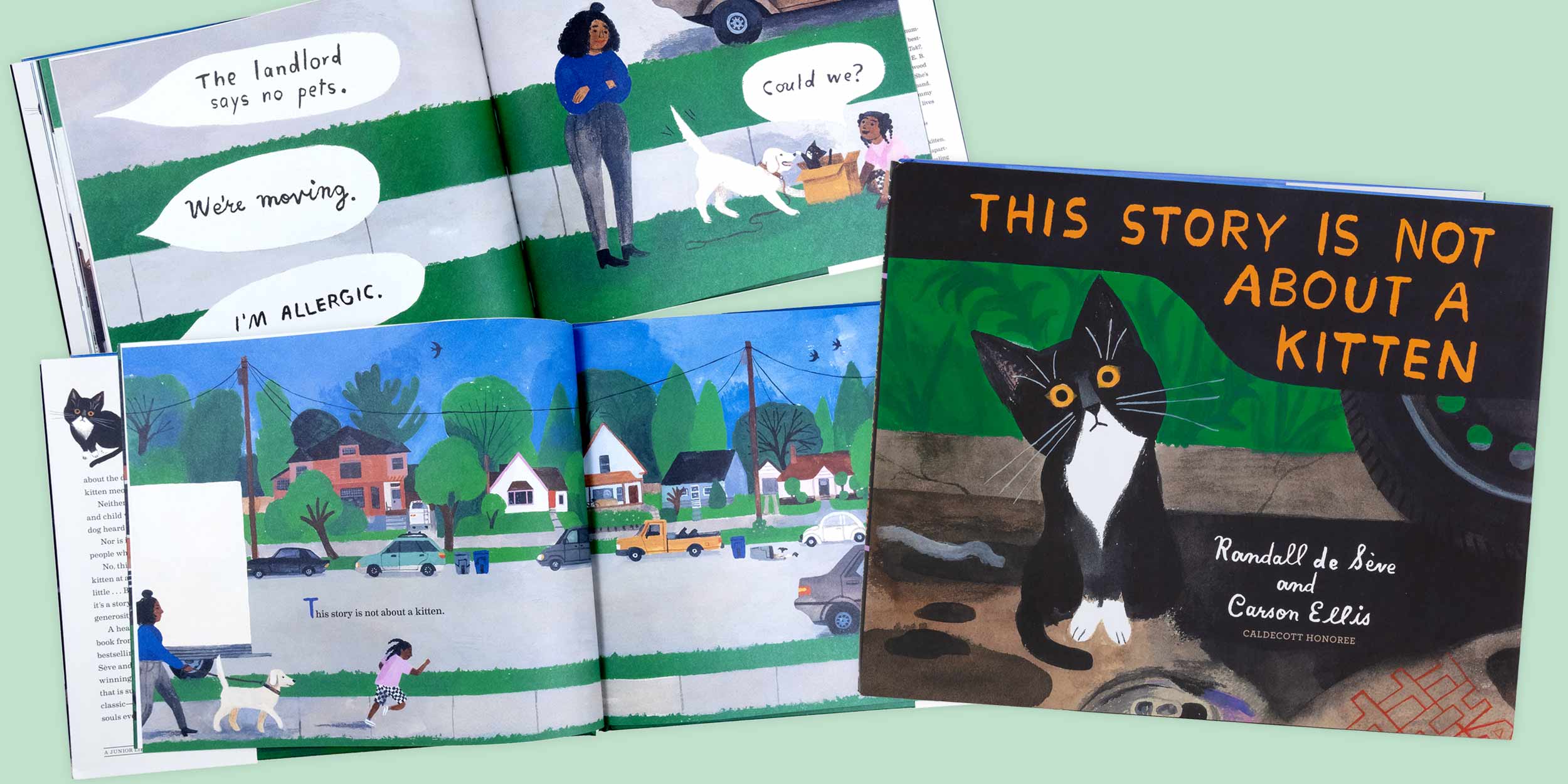 Randall de Sève - This Story Is Not About a Kitten at buyolympia.com