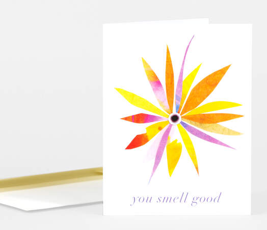 Flora Noble - Variegated Monstera at buyolympia.com